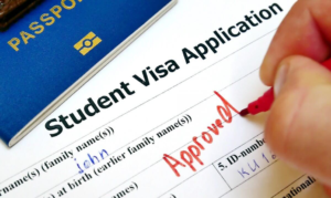 Work in the UK with Graduate Visa - UNI Britannica